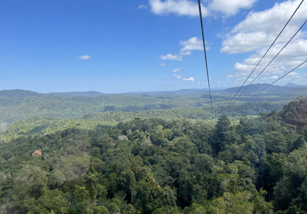 キュランダ列車のモデルコースや所要時間は？スカイレールとの組み合わせも【ケアンズ】 - 美味しく旅するブログ